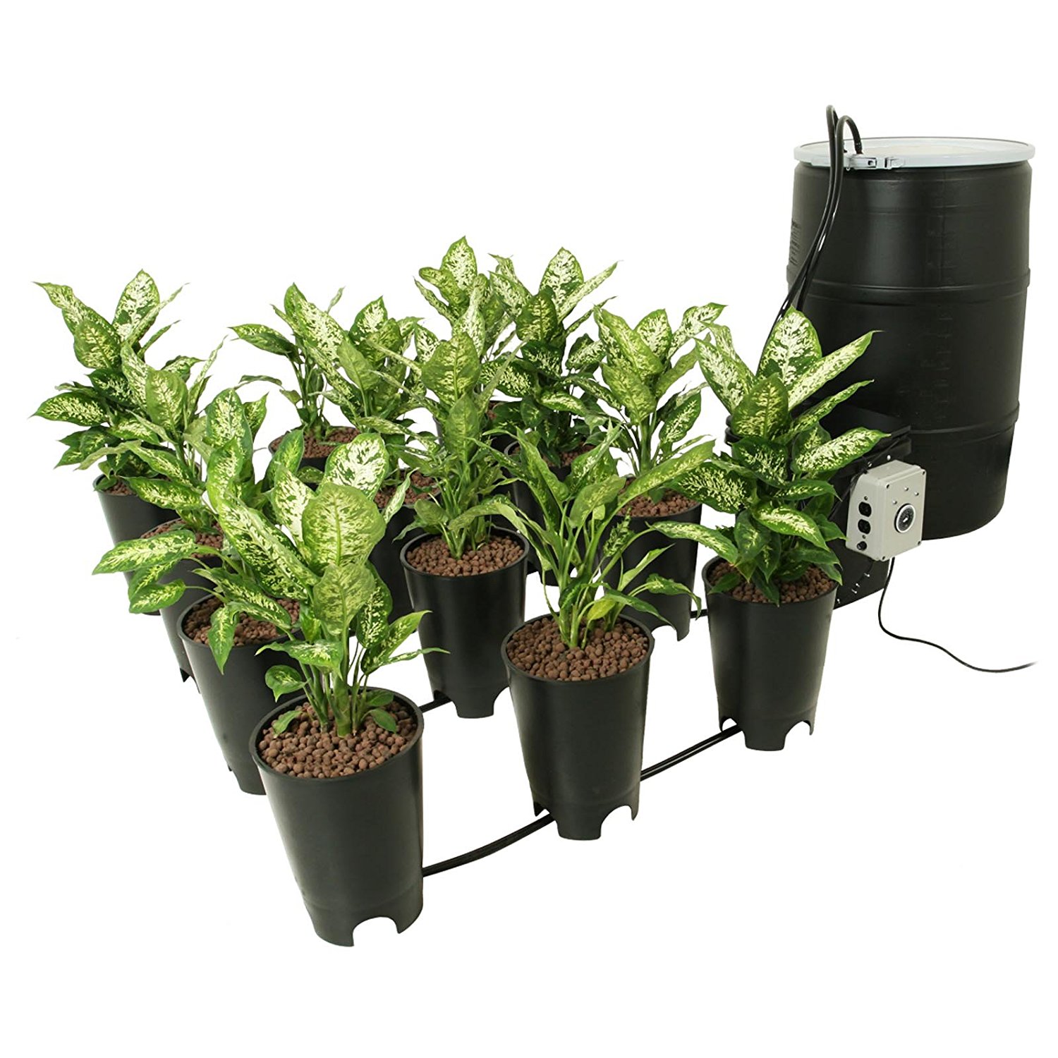 The 4 Best Hydroponic Systems for Marijuana & Other Plants