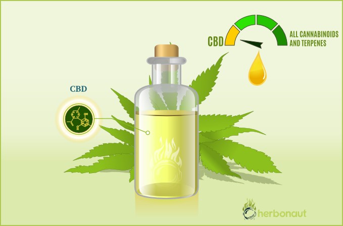 What's CBD Oil? The Buyer's Guide (Become an Expert in
